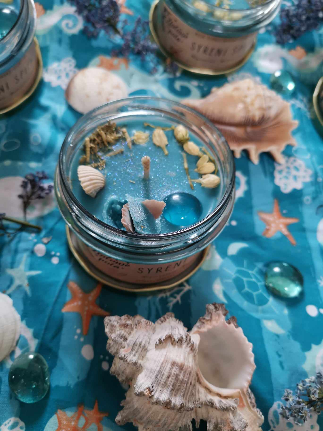 SYRENI ŚPIEW – Ziołowe Pola